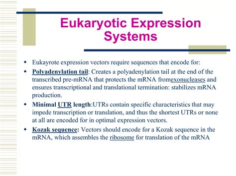 expression system final pptx programming languages computing