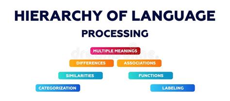 Hierarchy Of Language Diagram Infographic On Similarities And Functions With Data Stock Vector
