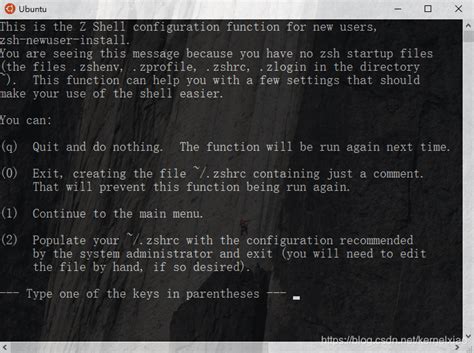 【wsl】使用zsh和oh My Zsh大熊の笔记的博客 Csdn博客