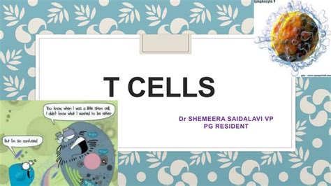 T Cell Development Maturation Activation And Differentiation Pptx