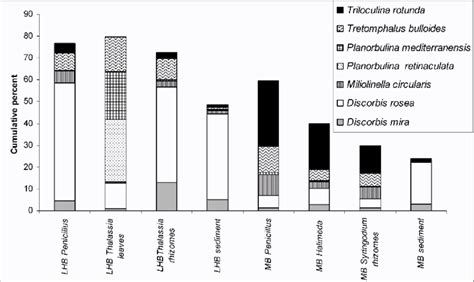 Graph Showing The Cumulative Percentage Abundance Of Dominant Species