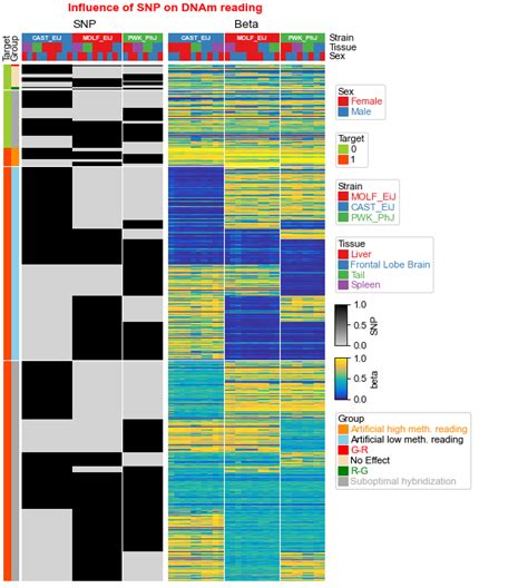 composite two heatmaps horizontally for mouse dna methylation array