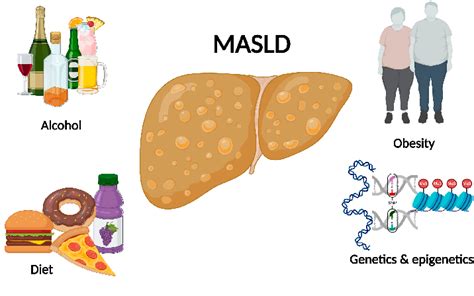 Table 1 From The Relationship Between Pathogenesis And Possible