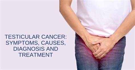 Testicular Cancer Symptoms Causes Diagnosis And Treatment Pi