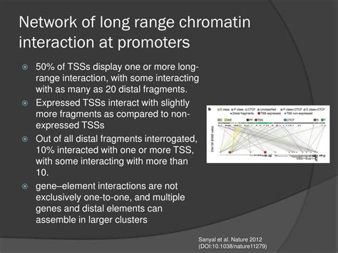 Ppt Analysis Of Higher Order Chromatin Structure Powerpoint