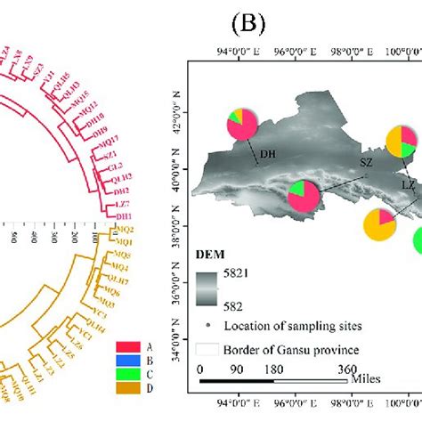 Ward Clustering Analysis Results Based On The Squared Euclidean