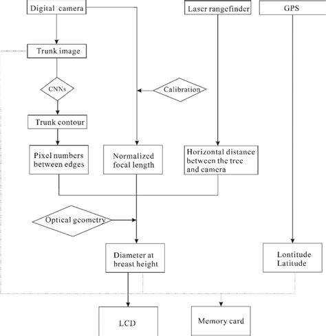Workflow Of The Presented Device Cnns Convolutional Neural Networks