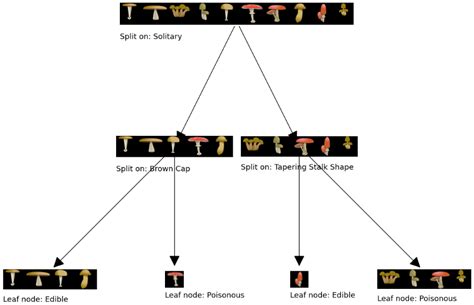 Github Jihadakbrclassifying Edible Or Poisonous Mushrooms Using A