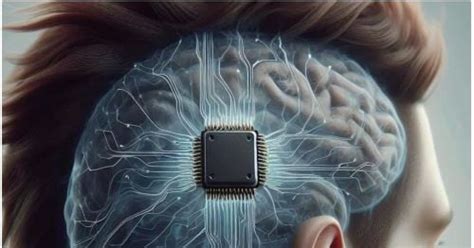 전기 자극 대신 초음파로 뇌 활동 읽고 질환도 치료 머스크 뉴럴링크보다 안전”