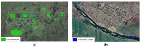 A Light Weight Cropland Mapping Model Using Satellite Imagery