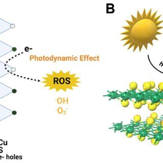 A Copper Sulfide Nanosheet Photodynamic Antibacterial Pathway Download Scientific Diagram