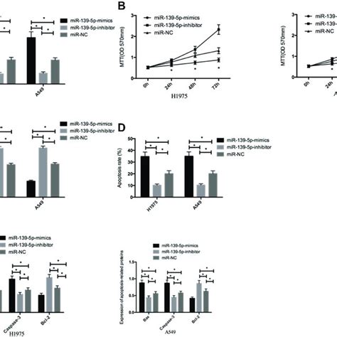 Effects Of Mir 139 5p On Proliferation Invasion And Apoptosis Of