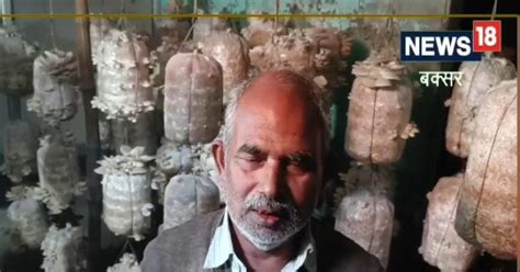 Positive News बेसमेंट में शुरू की मशरूम की खेती सलाना 2 लाख रुपए का हो रहा मुनाफा जानें कैसे