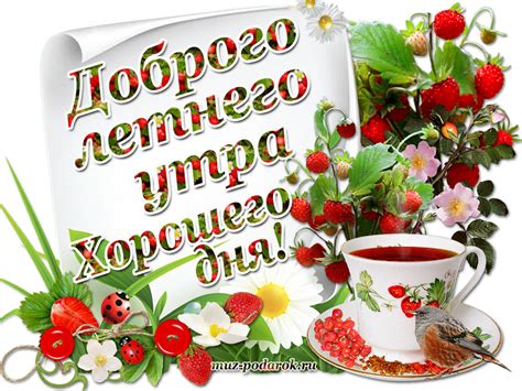 Доброго летнего утра Хорошего дня Поздравительные открытки Доброе