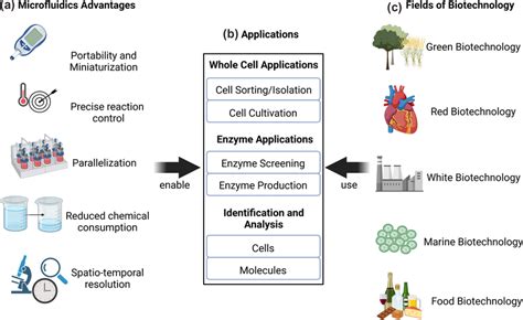 Microfluidic Systems Enable Various Applications Which Are Used Across