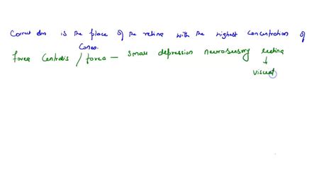 Solved Which Of The Following Parts Of The Eye Does Not Have Photoreceptors Question 6 Options
