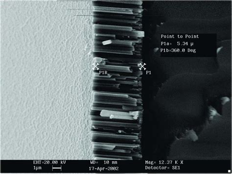Cross Sectional Sem Image Of A Getter Film Deposited By Pvd Techniques Download Scientific