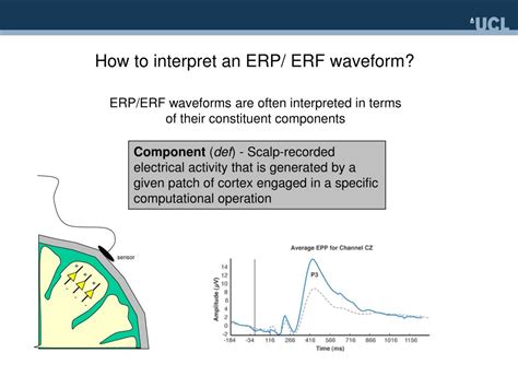 PPT EEG MEG Experimental Design Preprocessing PowerPoint Presentation ID