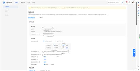 springboot基于沙箱环境实现支付宝支付 支付宝沙箱环境支付完成回调 csdn博客