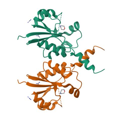 Rcsb Pdb 7qad Crystal Structure Of The C Terminal Catalytic Domain Of Plasmodium Falciparum