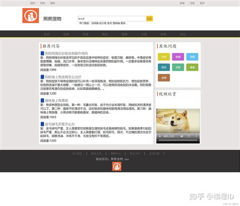html做一个简单漂亮的宠物网页（纯html代码） 带视频 带音乐 带报告 知乎
