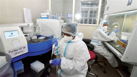 Duration Of Rt Pcr Testing Clarity Needed Star Of Mysore