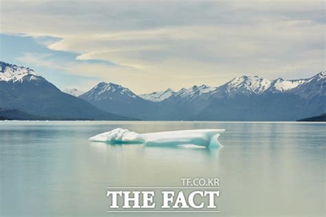 환경사진이 한 자리에…숲과나눔 환경사진아카이브 오픈 [tf사진관] 포토 기사 더팩트