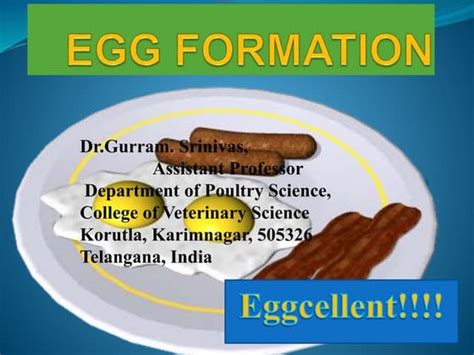 Types Of Egg Classification Of Eggs Structure Of Frog Egg Structure