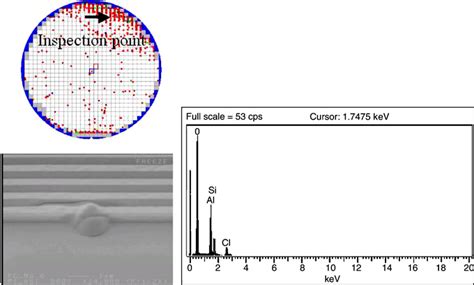 Sem Eds Corrosion Defect Analysis For The First Stage Experiment Of Download Scientific Diagram