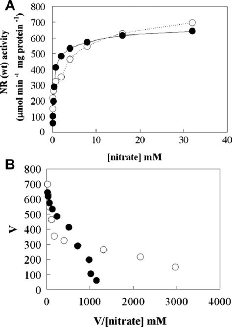 Effect Of Azide On The Mvenr Activity Of Wild Type Narb A Progress Download Scientific