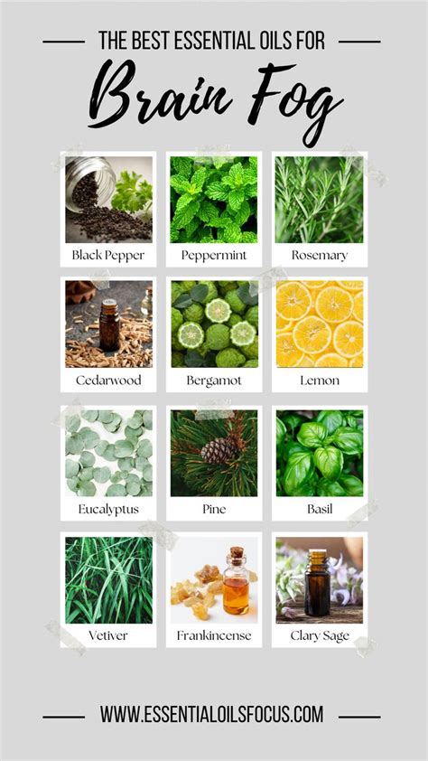 10 Essential Oil Blends For Focus And Concentration In 2024 Essential Oils Focus Focus