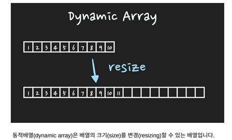 동적 배열 Dynamic Array 동적 배열 Dynamic Array