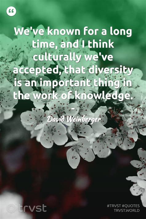 100 Equality Quotes To Inspire Diversity Inclusion Artofit