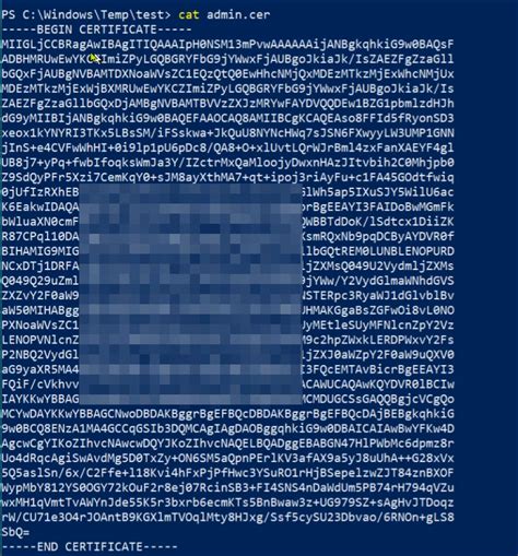 Practical Guide To Adcs Attacks Using Lolbas Rbt Security
