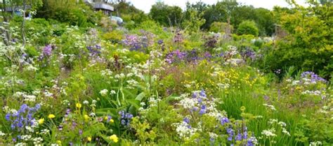 Society Of Garden Designers Spring Conference Sex In The Gardens Chartered Institute Of