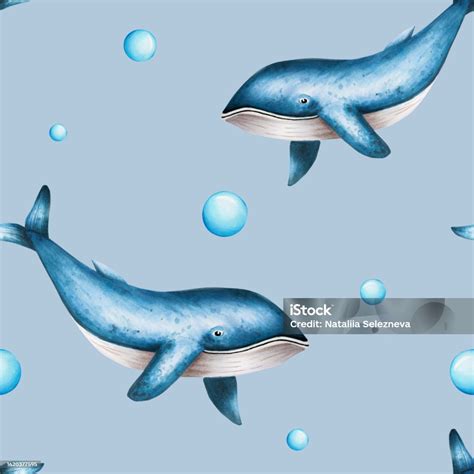 흰 배경에 분리된 푸른 고래가 있는 수채화 매끄러운 패턴 현실적인 북극과 남극 해양 포유류를 손으로 그립니다 디자이너 장식 엽서