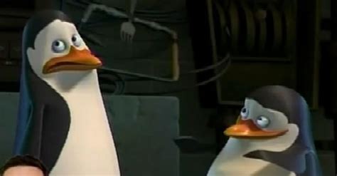 Kowalski And Private Penguins Of Madagascar Photo 16633344 Fanpop