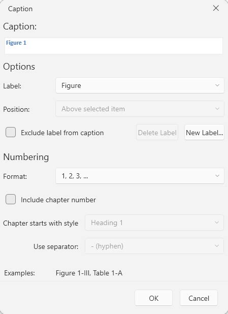 WPF RichTextBox Insert Caption Dialog Telerik UI For WPF