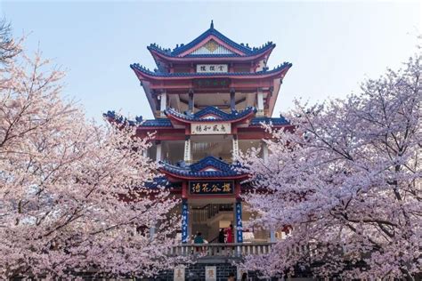 无锡最有名的景点 无锡有名景点 宁波最有名的景点 大山谷图库