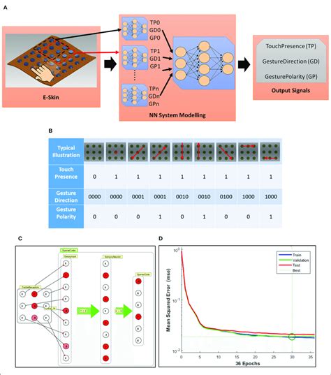 A Schematic Illustration Of Sparse Coding Of Tactile Data From Download Scientific Diagram