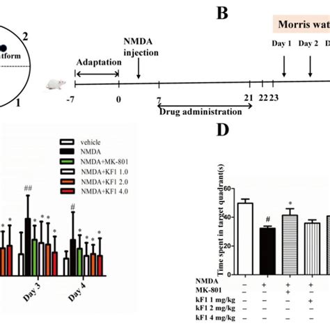 The Spatial Learning And Memory Of Kf1 Treated Mice In The Mwm Test