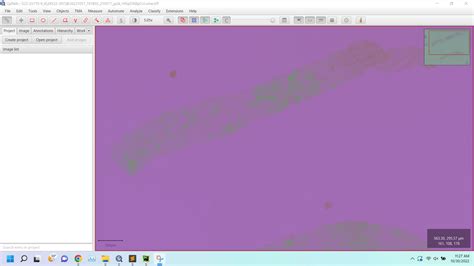 Ycbcr Colorspace From Pyvips Jp2kjpeg Compression Causes Brightfieldrgb Ometiff Image Results