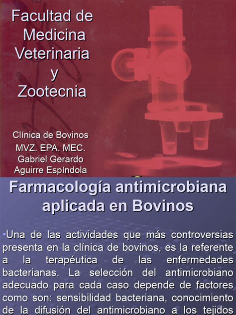 Farmacología Antimicrobiana Aplicada En Bovinos Pdf Penicilina