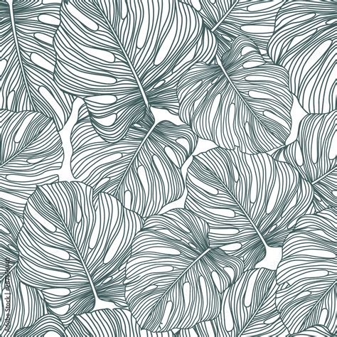 Tropical Monstera Leaves Seamless Pattern Botanical Leaf Stock Vector Adobe Stock