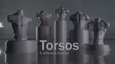 Artstation Basic Torso Models Resources