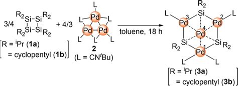 Synthesis Of Tetranuclear Palladium Clusters 3 A And 3 B The Numbering Download Scientific