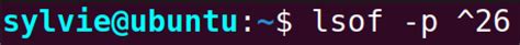 the “lsof” command in linux [8 practical examples]