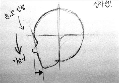 대전미술학원 [ 얼굴그리는법 옆모습 얼굴그리기 사람얼굴 그리는 방법 소개 ] 대전 노은 씨앤씨 미술학원 애니스타 만화반 네이버 블로그