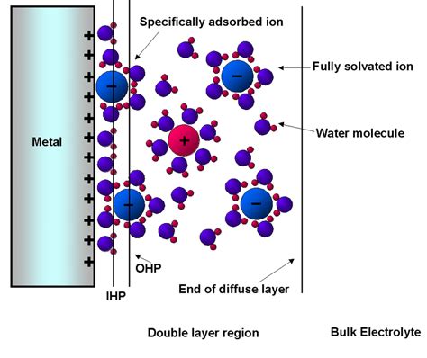 1 Double Layer Region Of An Electrochemical Interface Large Blue And