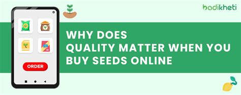 Why Buy Quality Seeds Online Badikheti